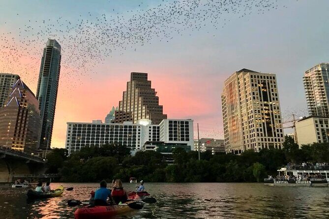 Congress Avenue Bat Bridge Kayak Tour in Austin - Practical Details