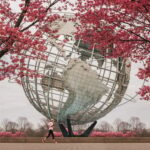 Contrasts of New York Tour - Who Should Take This Tour?