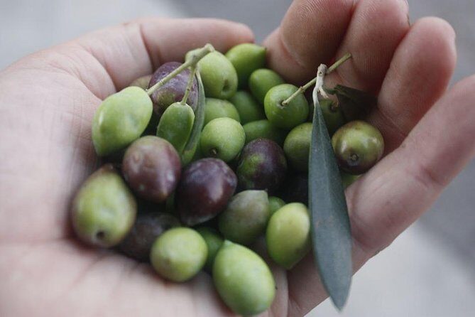 Cook with Locals | Cretan cooking Class at Archanes Village - Practical Details and Considerations