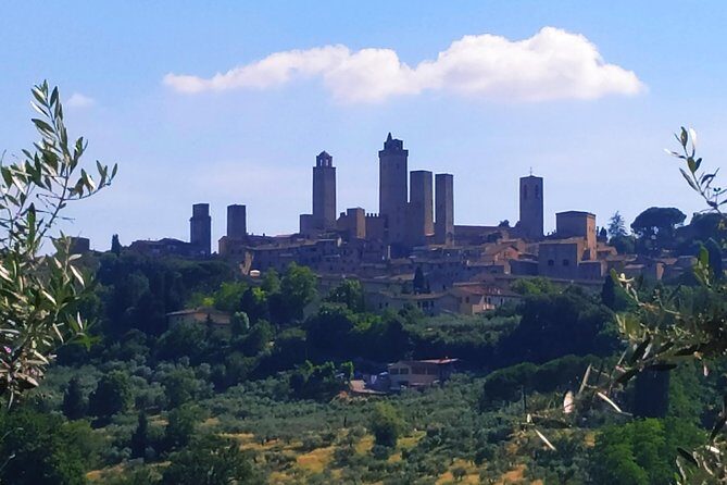 Cooking Class in a Real Tuscan Farmhouse - Why This Experience Stands Out