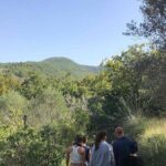 Cooking class in the countryside with Simona - An In-Depth Look at the Sicilian Countryside Cooking Class