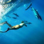 Coral Gardens Coastal Snorkel & Sail - The Bottom Line: Is It Worth It?