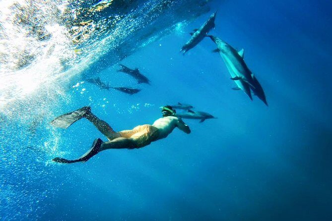 Coral Gardens Coastal Snorkel & Sail - The Bottom Line: Is It Worth It?