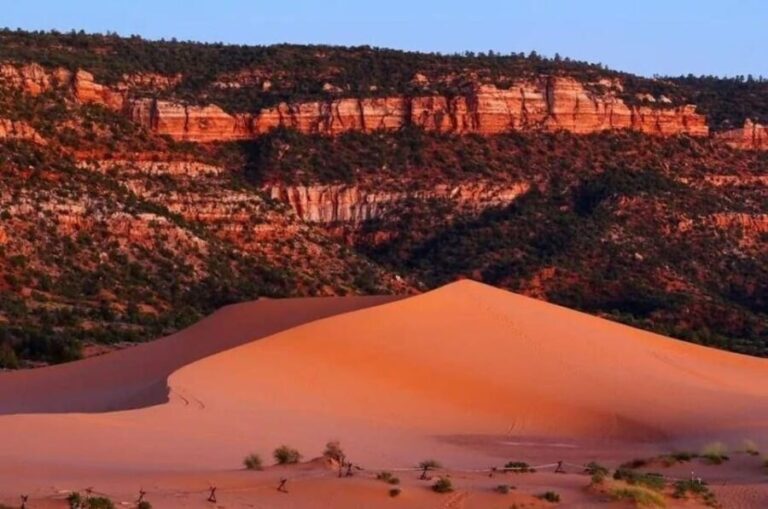 Coral Pink Sand Dunes: UTV Sunset Ride - What to Expect on the Coral Pink Sand Dunes Sunset Ride