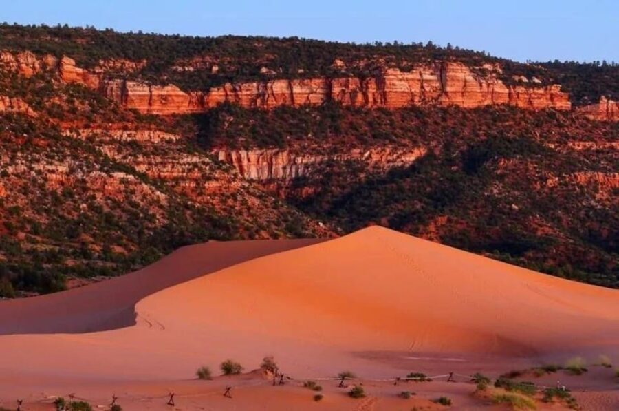 Coral Pink Sand Dunes: UTV Sunset Ride - What to Expect on the Coral Pink Sand Dunes Sunset Ride