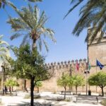 Cordoba Tour with Mosque, Synagogue and Patios from Malaga - Exploring Córdoba’s Main Sights