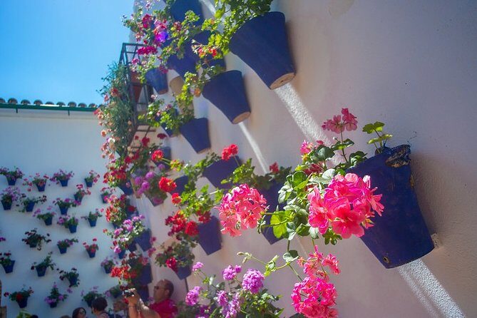 Cordoba's Authentic Patios: 2-Hour Tour with Tickets - Detailed Breakdown of Each Stop