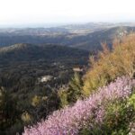 Corfu Countryside Hiking Tour - Food, Refreshments, and Value