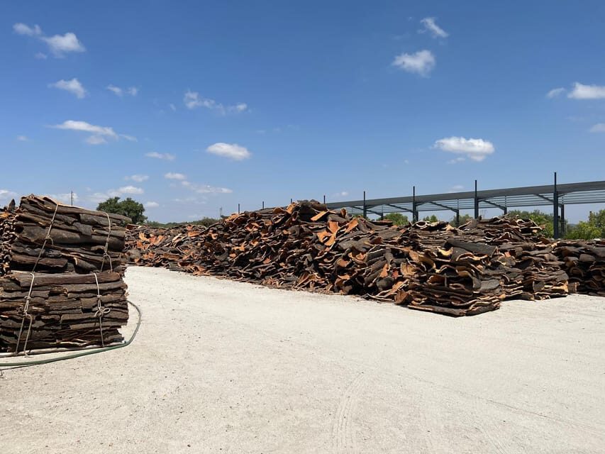 Cork Factory, Wine Tasting & Évora Visit - Who Should Consider This Tour?