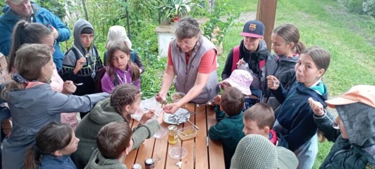 Corund, HR: Visit to bee-keeper, tasting & hive-opening - An In-Depth Look at the Beekeeping Tour