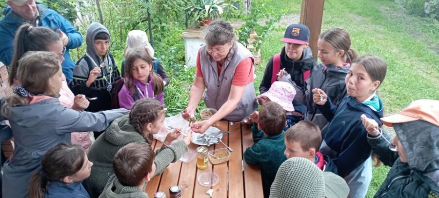 Corund, HR: Visit to bee-keeper, tasting & hive-opening - An In-Depth Look at the Beekeeping Tour