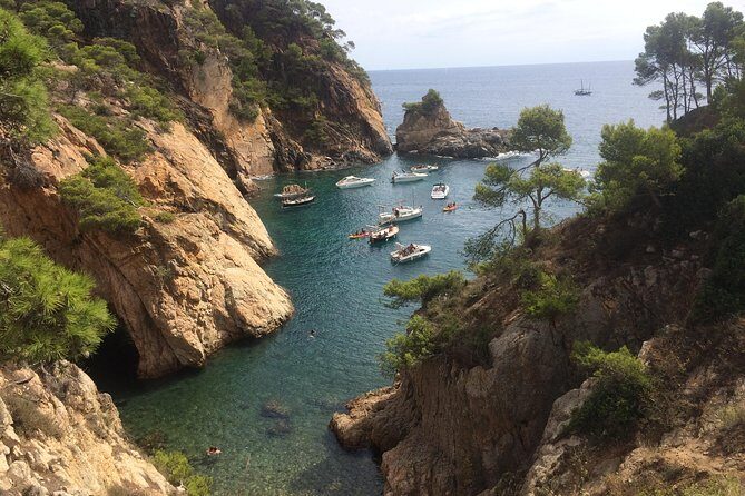 Costa Brava Scenic Hike & Tossa de Mar Small Group Tour - Who Will Love This Tour?