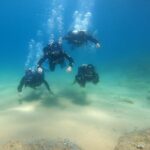 Costa Brava: Scuba Diving Tour, Lunch and a Visit to Tossa de Mar - Analyzing the Value