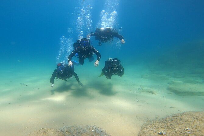 Costa Brava: Scuba Diving Tour, Lunch and a Visit to Tossa de Mar - Analyzing the Value