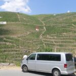 Cotes du Rhone Wine Tour (9:00 am to 5:15 pm) - Small Group Tour from Lyon - Visiting the Wineries: A Tasting Tour