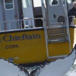 County Cork: Whale & Dolphin Watching Boat Trip - Who Should Consider This Tour?