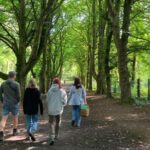 Courtown Woodland Guided Tour - An In-Depth Look at the Tour
