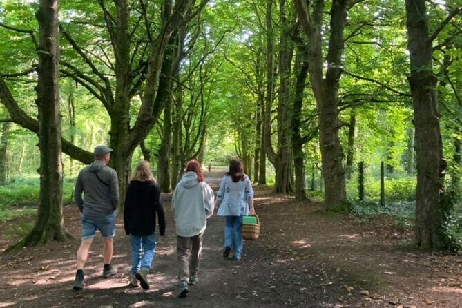Courtown Woodland Guided Tour - An In-Depth Look at the Tour