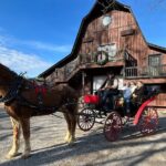 Cozy Farm Experience with Wagon Wheels and Acoustic Meal - An In-Depth Look at the Cozy Farm Experience