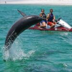 Crab Island Dolphin Jet Ski Adventure - Practical Details: Booking, Costs & What’s Included