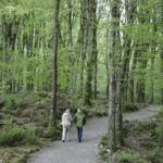 Craggaunowen Admission Ticket - Authenticity and Atmosphere: What Visitors Say