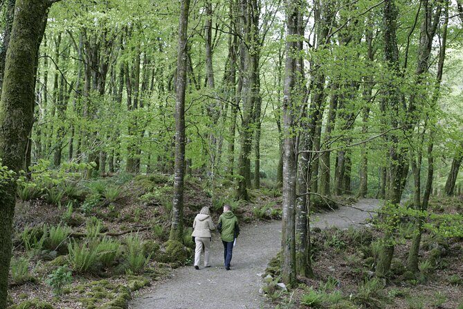 Craggaunowen Admission Ticket - Authenticity and Atmosphere: What Visitors Say