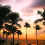 Creative Soul Scavenger Hunt( Kona Big island Hawaii) - Who Will Love This Experience?