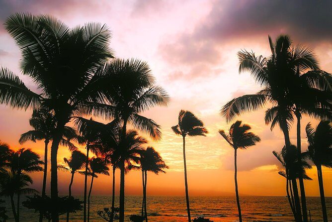 Creative Soul Scavenger Hunt( Kona Big island Hawaii) - Who Will Love This Experience?