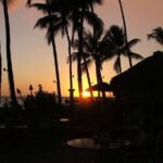 Creative Soul Scavenger Hunt of Waikiki Oahu - How We View the Value