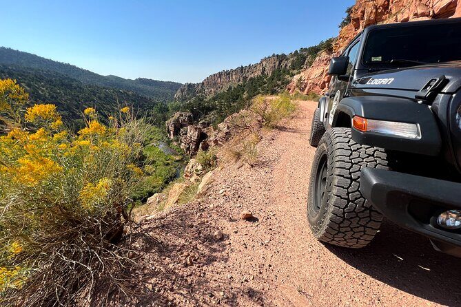 Cripple Creek Back Country Jeep Tour - What Travelers Can Expect: Comfort, Timing, and Value