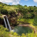 Cruise Ship Shore Excursion: Kauai Movie Sites Tour - What the Reviews Tell Us