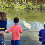 Cruisin' Tikis Key Largo - Tiki Fun Cruise (Private) - Included Amenities and What They Mean for You