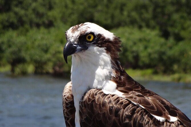 Crystal River Boat Tour - Weather and Cancellation Policy