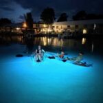 Crystal River Clear Kayak Sunset & Night Glow Tour - Who Should Consider This Tour?