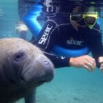 Crystal River: Manatee Snorkel Tour w/ In-Water Photographer - Who Will Love This Tour?