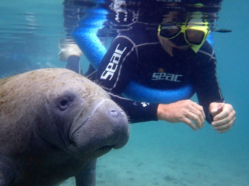 Crystal River: Manatee Snorkel Tour w/ In-Water Photographer - Who Will Love This Tour?