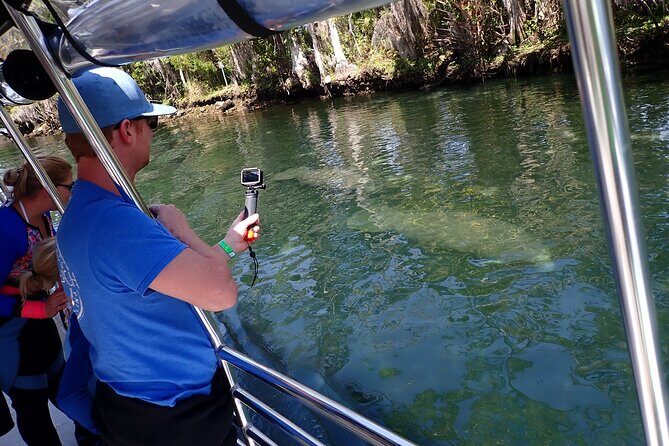 Crystal River Manatee Viewing Cruise - Final Thoughts: Is it Worth It?