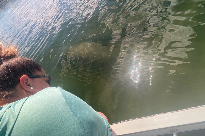 Crystal River: Private Manatee Boat Tour - Who Should Book This Tour?
