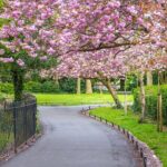 Cupids Trail: Romantic Puzzle Quest in Dublin - Practical Details and Tips