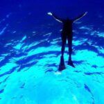 Custom Island Adventure Tours - What Makes This Tour Stand Out?