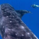 Custom Private Adventure - The Itinerary: What to Expect