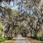 Custom Savannah Private Tour - The Guides: Enthusiasm Meets Expertise