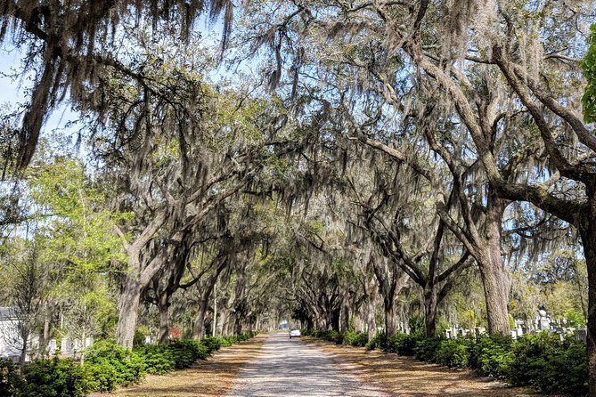 Custom Savannah Private Tour - The Guides: Enthusiasm Meets Expertise