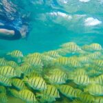 Customizable Island Tours Tours on Oahu - How the Tour Fits into Your Oahu Vacation