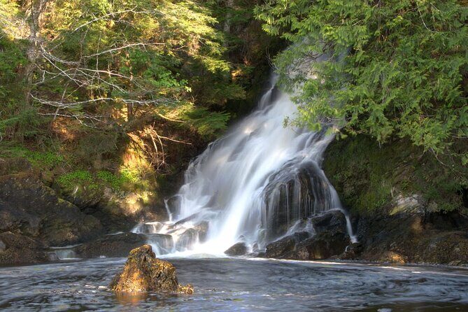 Customizable Private Tour in Ketchikan with Pick Up - Authentic Feedback from Travelers