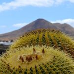 Customized Private Tours of Lanzarote island - Authentic Experiences and Unique Highlights