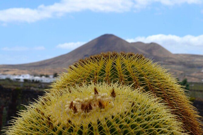 Customized Private Tours of Lanzarote island - Authentic Experiences and Unique Highlights
