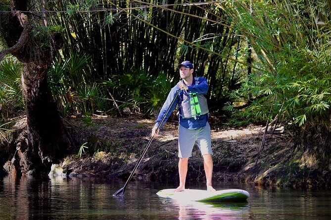 Cypress Forest: Guided Nature Kayak Eco-Tour - The Reviews Speak Volumes