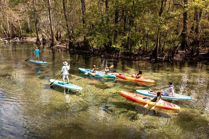 Cypress Springs Eco Adventure - What Makes Cypress Springs a Worthwhile Choice?