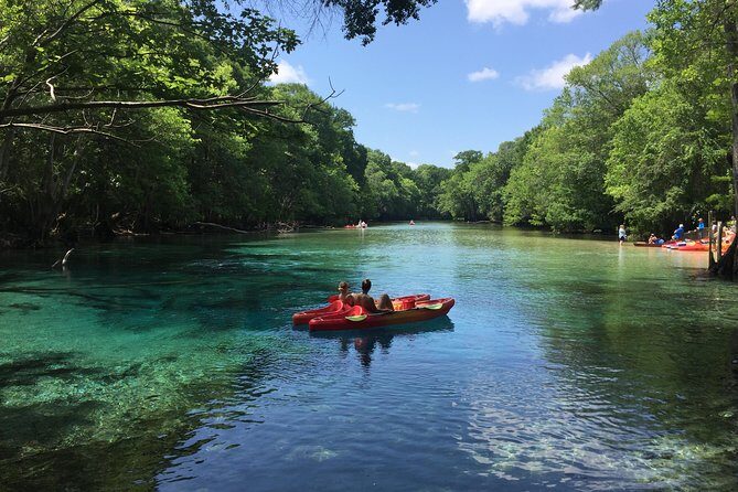 Cypress Springs Eco Adventure - The Itinerary: A Day in Nature’s Lap